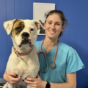 Molly Bryant | Griffith Veterinary Hospital
